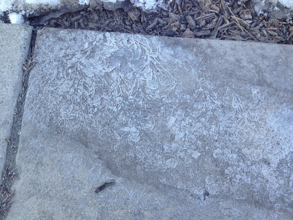 Photography – Frozen Patterns on the Sidewalk | Sixteen Small Stones